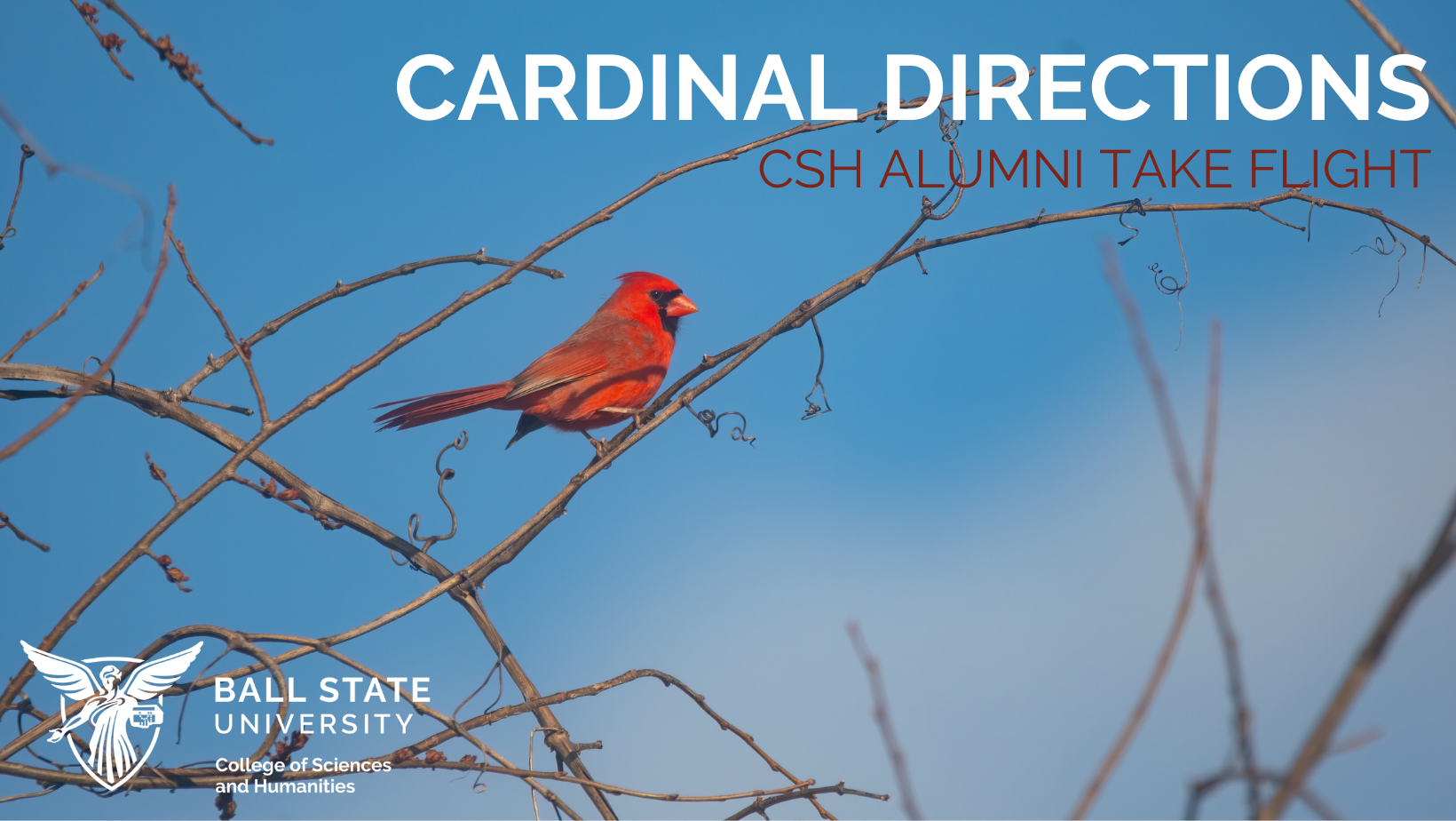 Cardinal Directions: Sydney Harris, a Trailblazer in Public Health ...