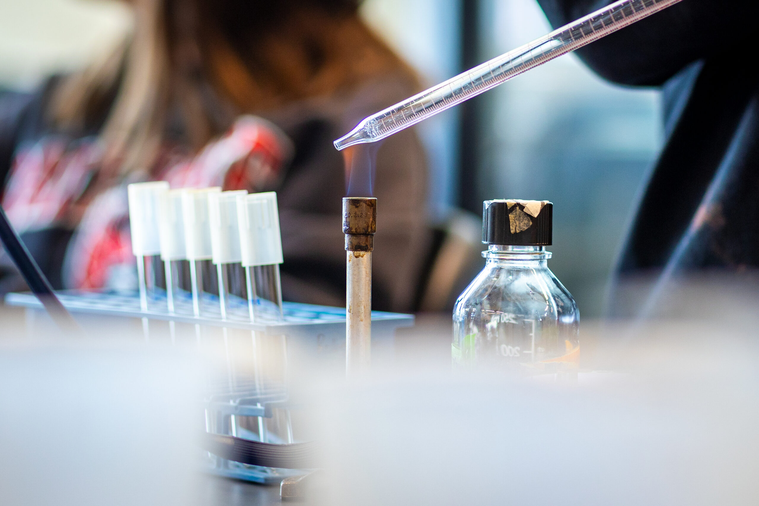 Smaldino's Lab Alumni - College of Sciences & Humanities