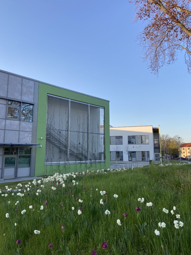 Federal Academic Alliance Makes It Possible to Complete Master’s Degree ...