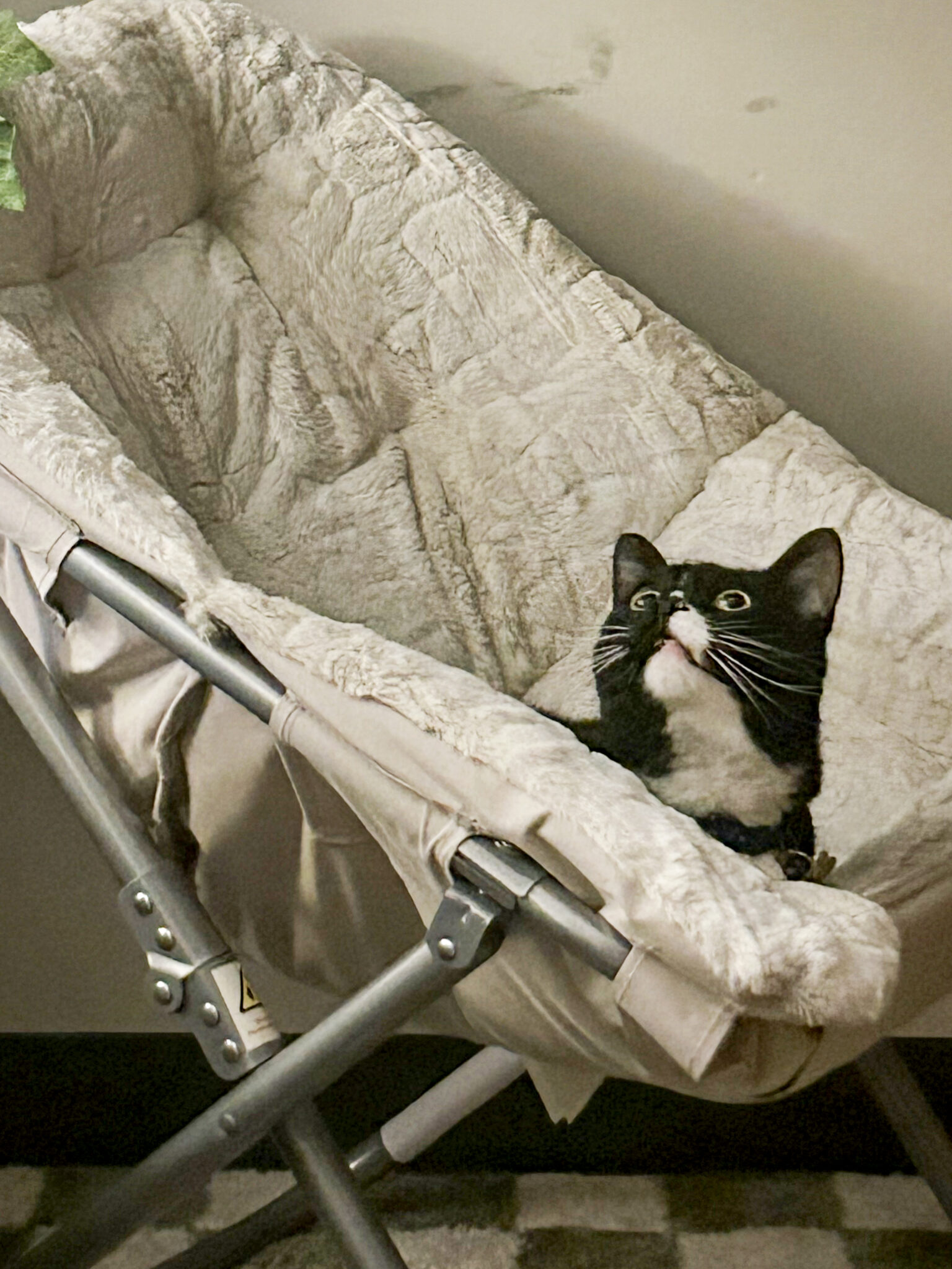 From Show Choir to the Classroom: Grace Huff’s First Year at Ball State ...