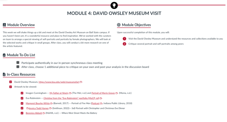 Designing with the Learner in Mind: How I Use Canvas to Support My In ...