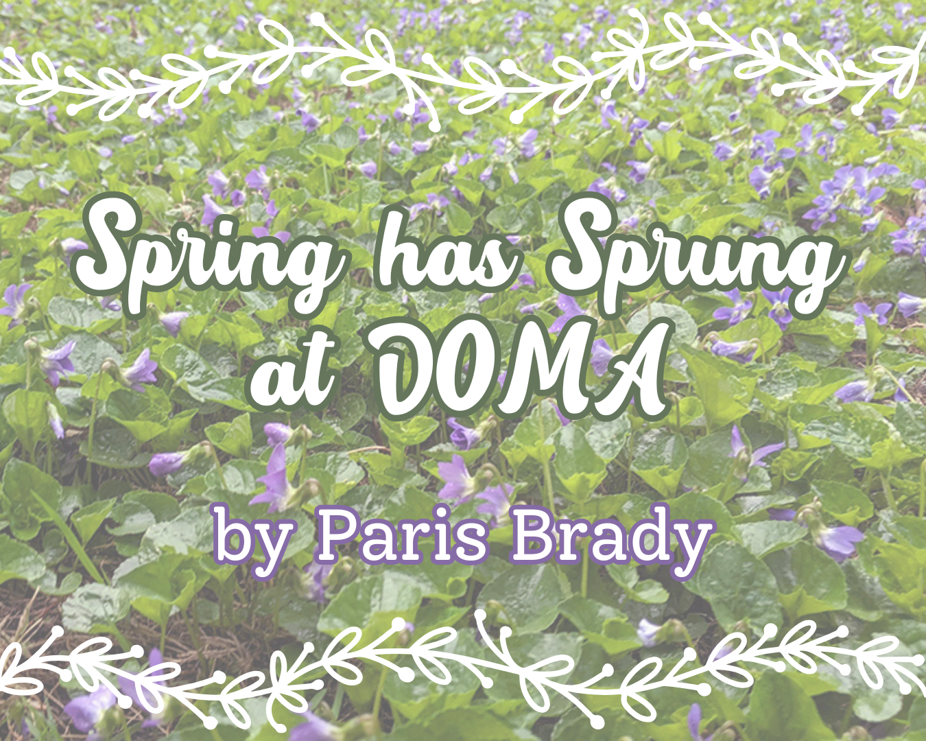 Spring Has Sprung at DOMA! - DOMA Insider